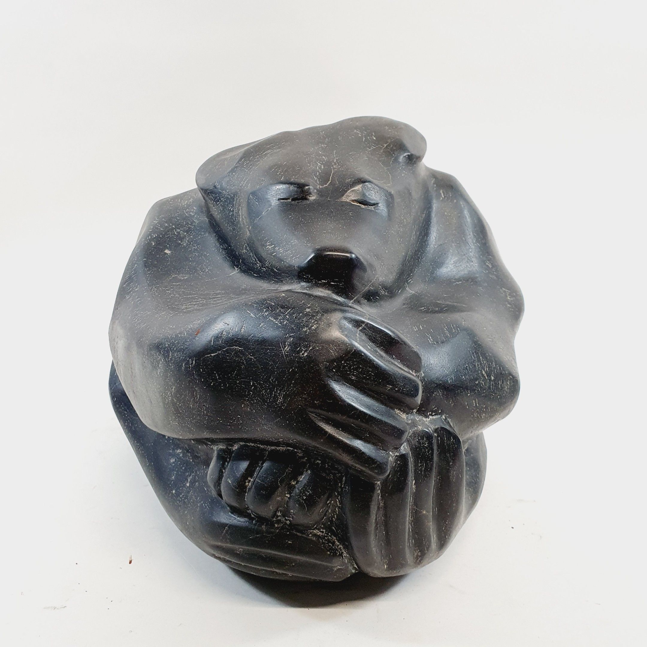 Beata CZAPSKA (née en 1949) « Tasmania, l’ours bru | | Ventes aux enchères